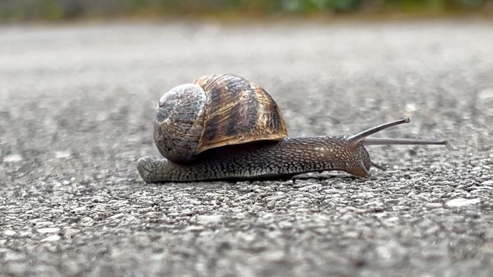 David McClelland, Actor & Filmmaker