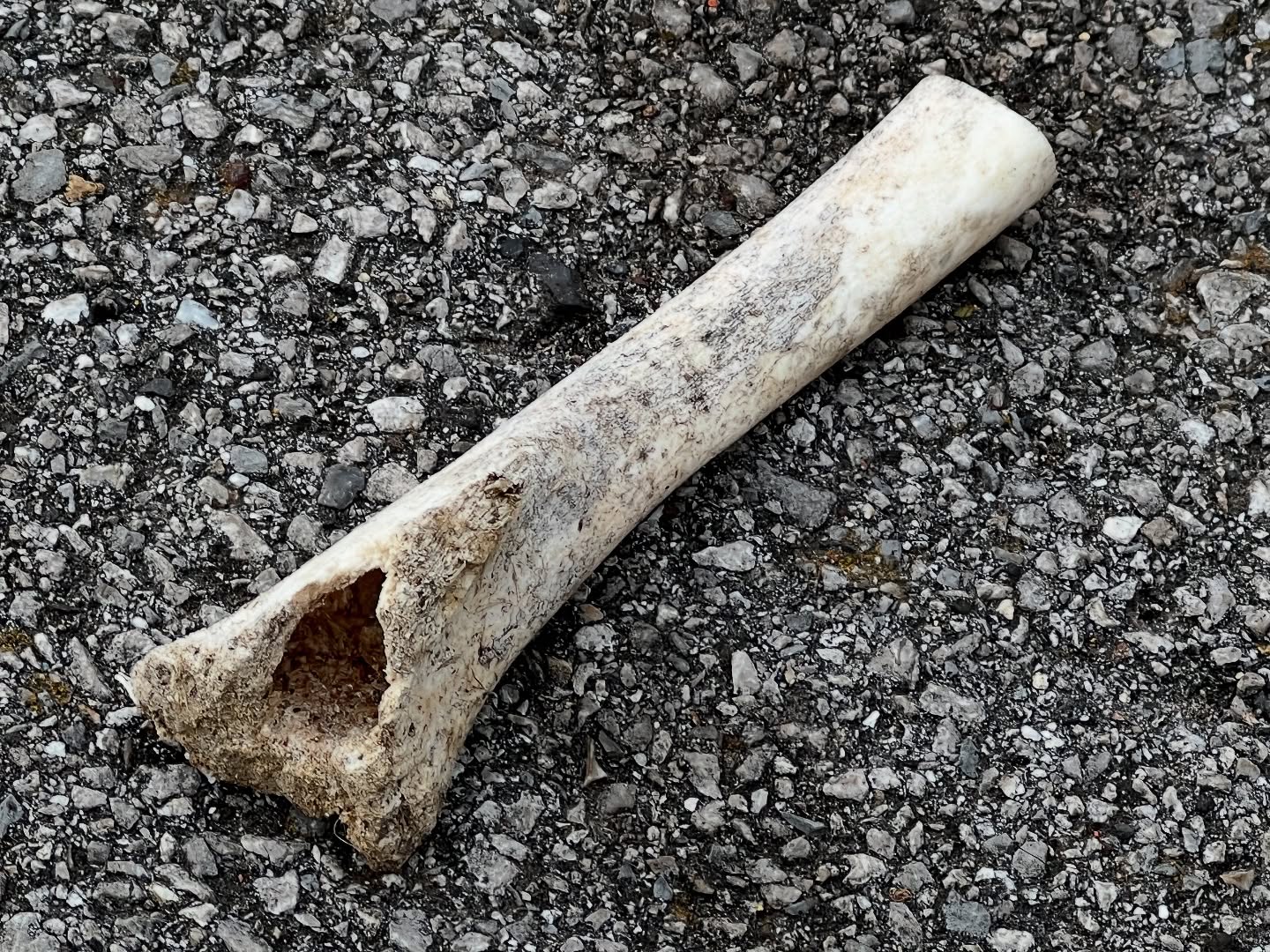 David McClelland, Psychologist | Dave McClelland...