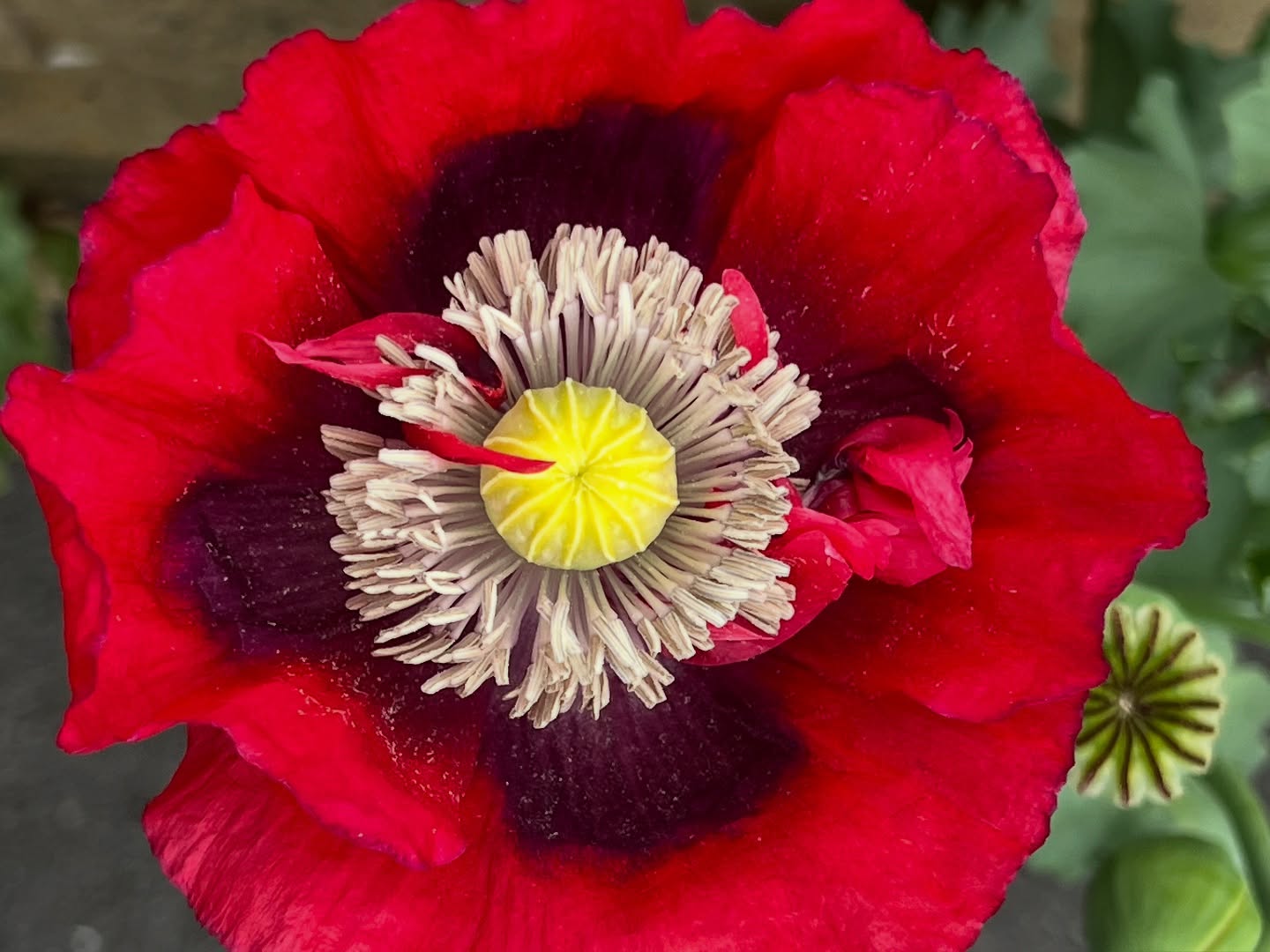 David McClelland, Psychologist | Dave McClelland...